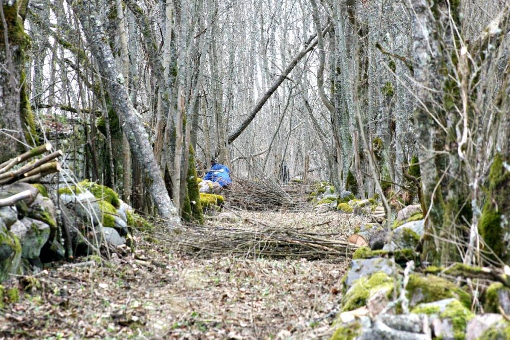 Talgud Suur-Pakri Suurkülas - Pakri Saared